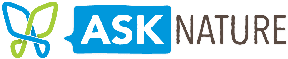 logo-wire — AskNature