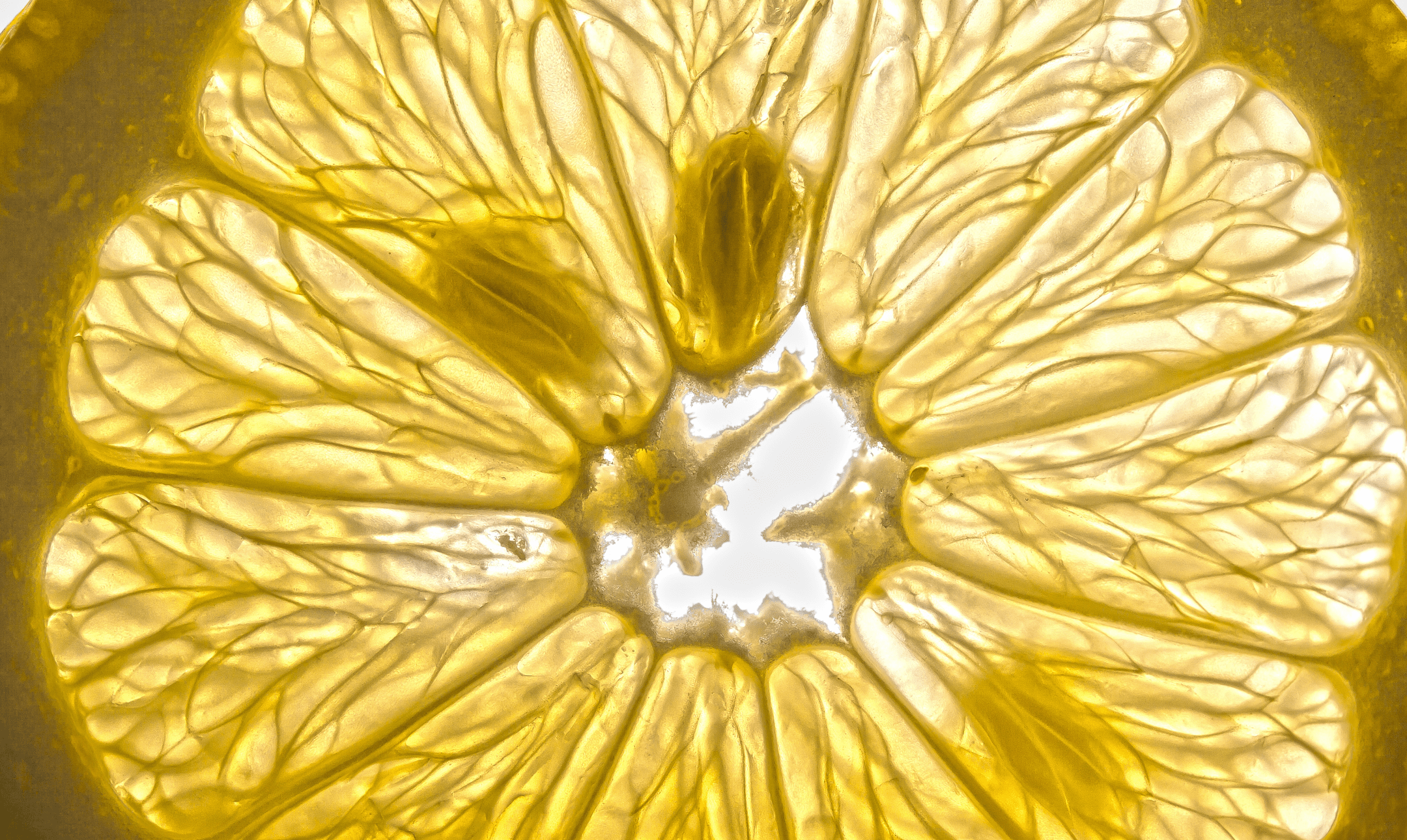 Proton Pump Acts As Mechanism of Hyperacidification — Biological ...