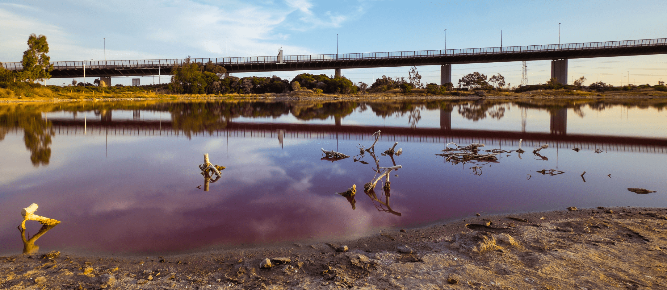 Proteins Function in Saline Environments — Biological Strategy — AskNature