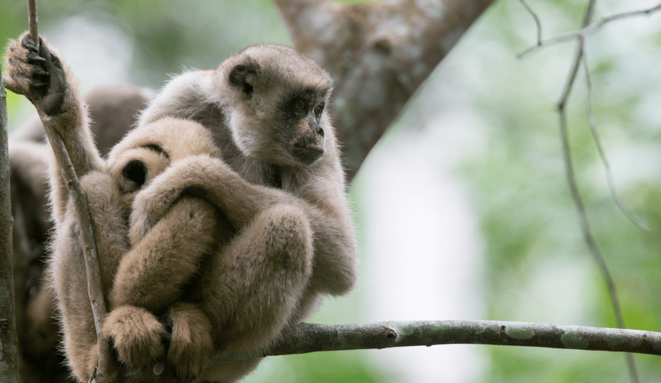 Foods Reduce or Enhance Fertility — Biological Strategy — AskNature