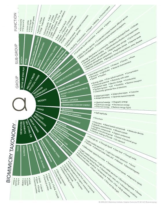 Biomimicry Taxonomy Resource Asknature