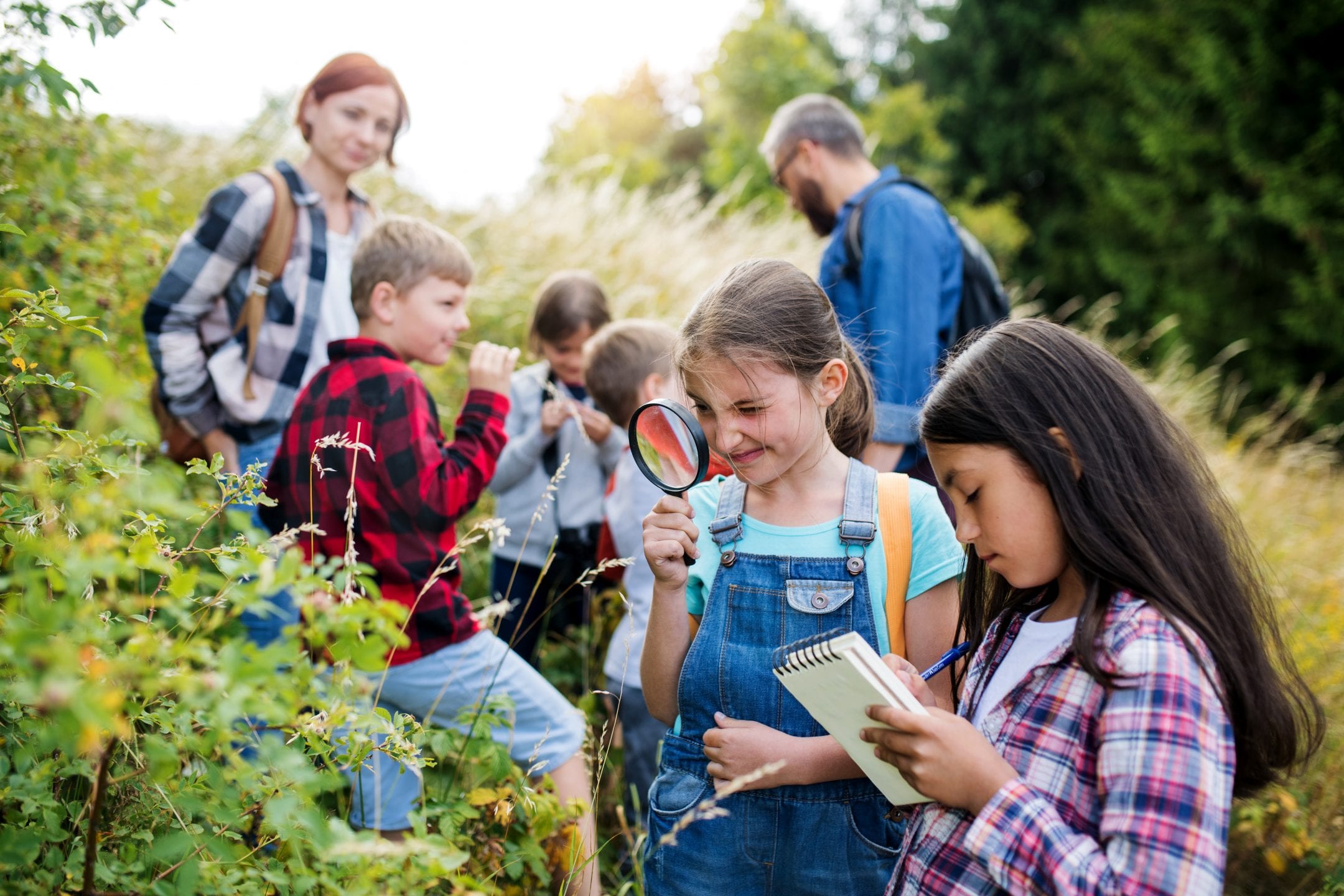 Excursiones de cinco minutos — Recurso — AskNature