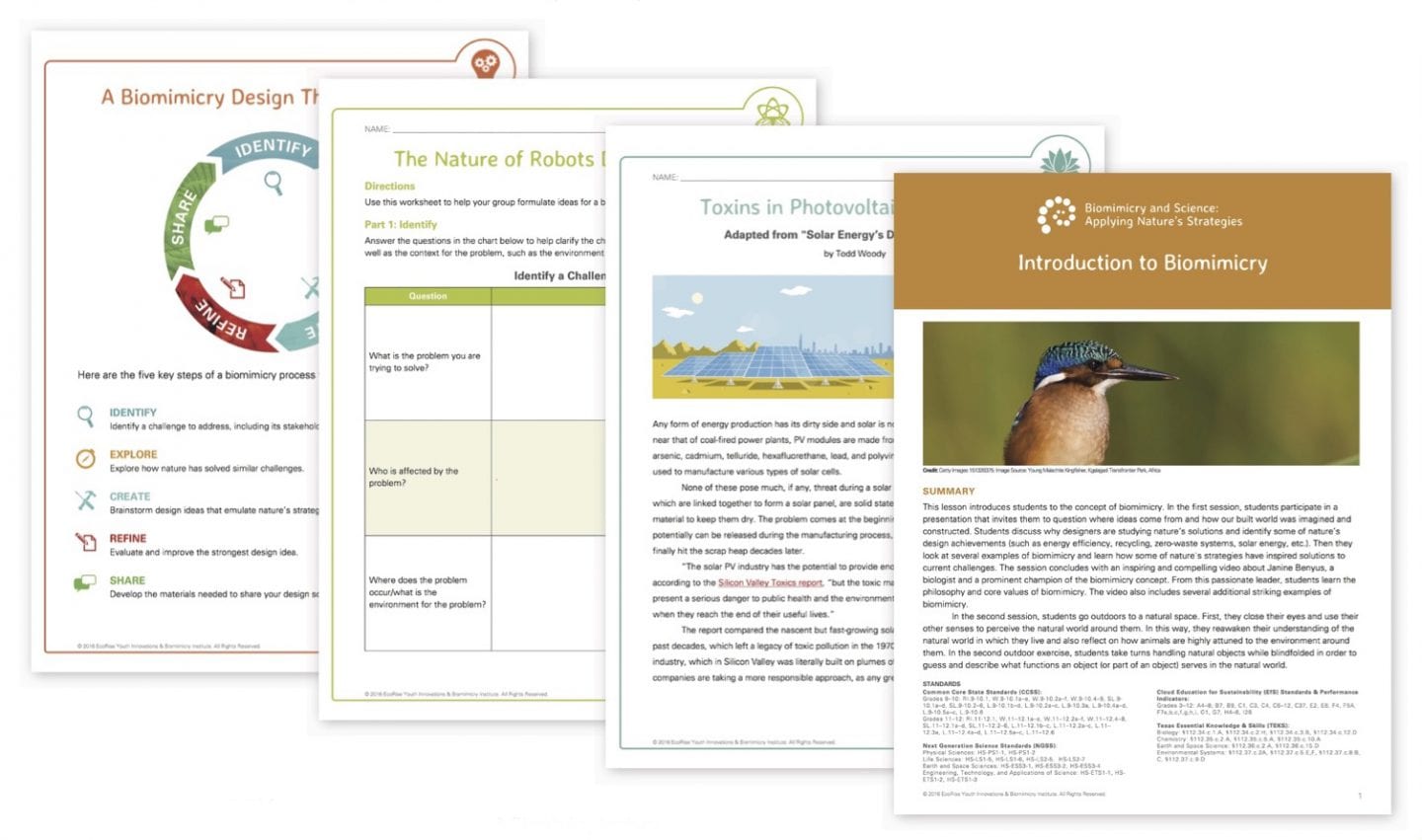 Biomimicry and Science: Applying Nature’s Strategies — Resource — AskNature