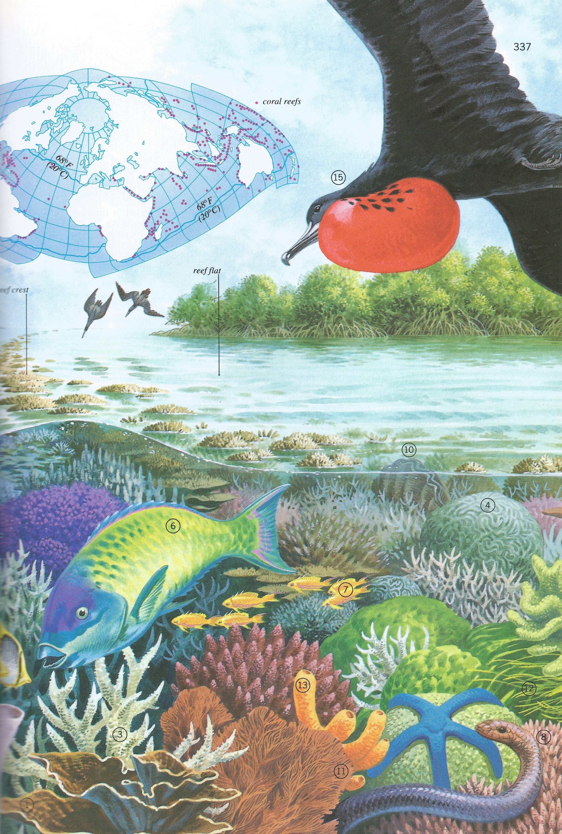 The Way Nature Works — Resource — AskNature