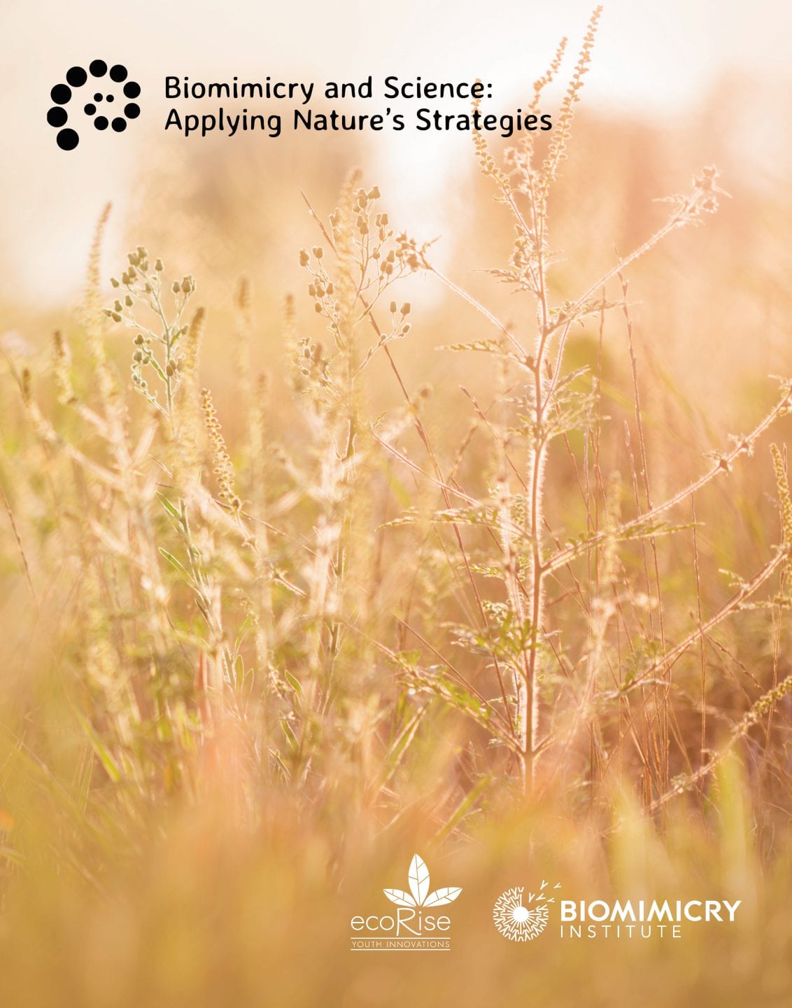 Biomimicry and Science: Applying Nature’s Strategies — Resource — AskNature
