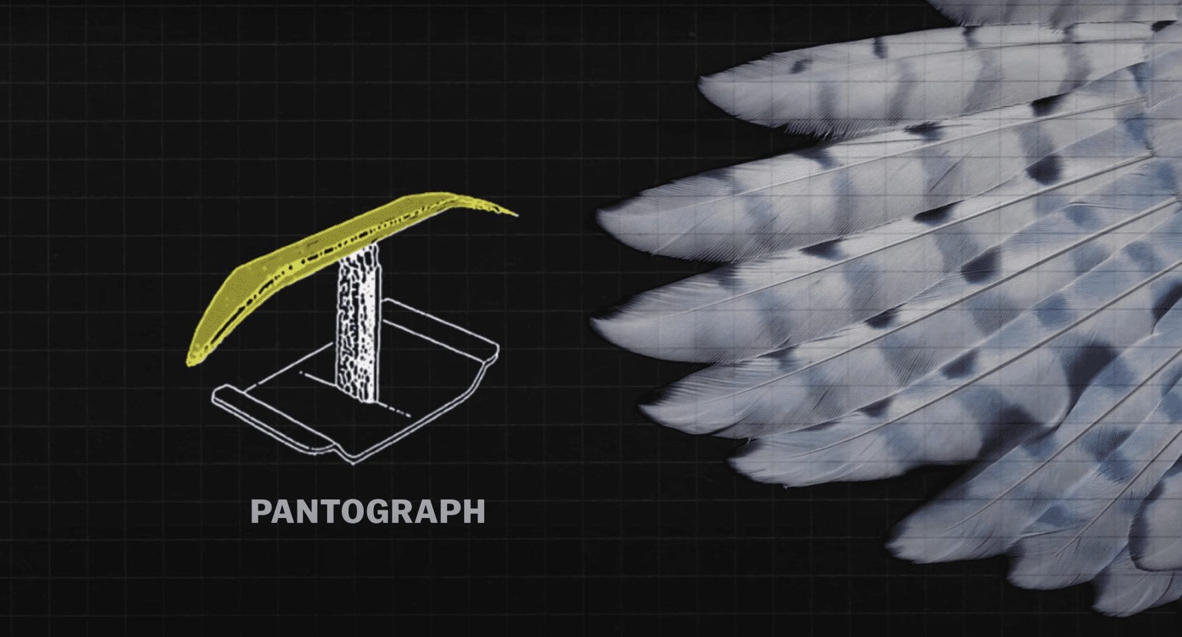 The world is poorly designed. But copying nature helps. — Resource ...