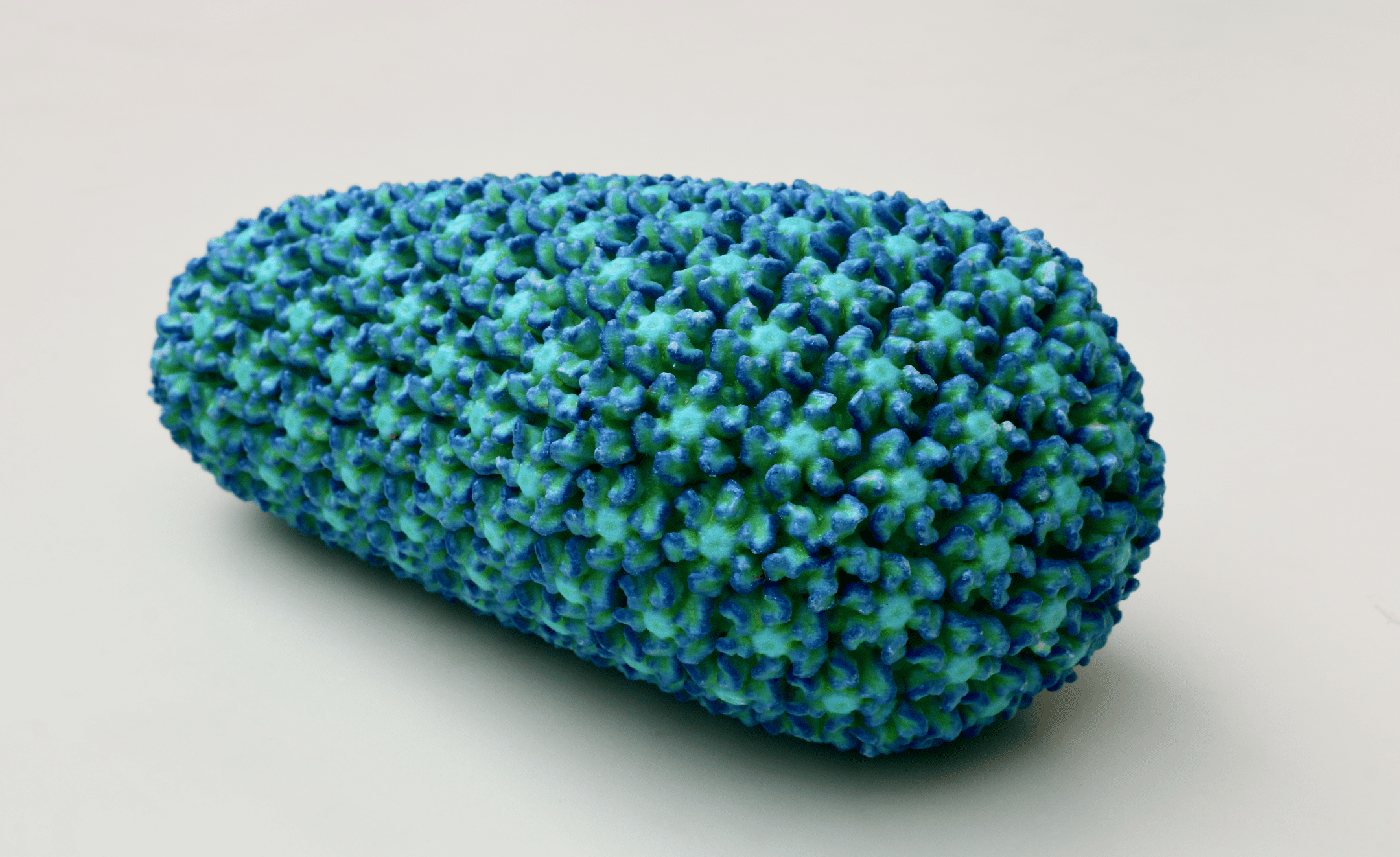 Capsid Proteins Self-assemble to Form Stable Shell — Biological ...