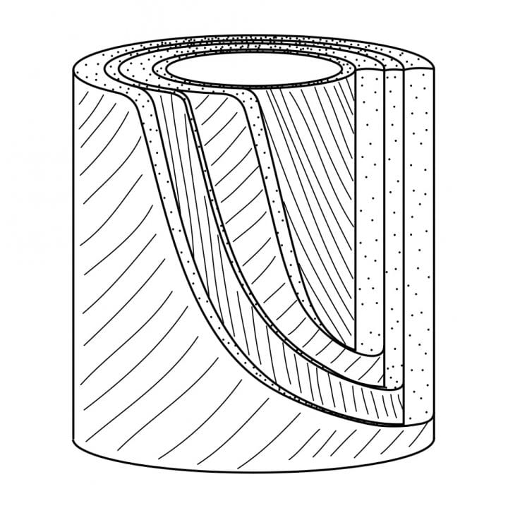 Helical Wound Fibres Increase Toughness — Biological Strategy — AskNature