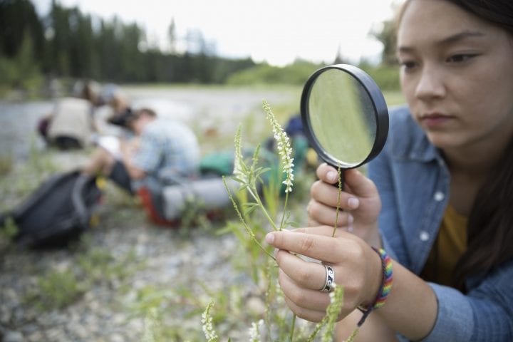 Innovation Inspired by Nature — AskNature