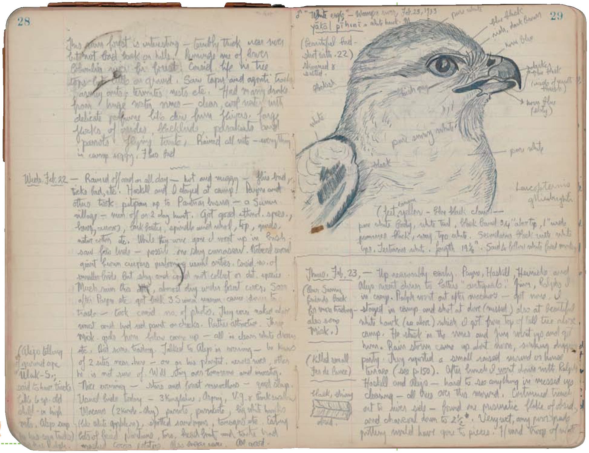 Introduction to the Nature Journal — Resource — AskNature