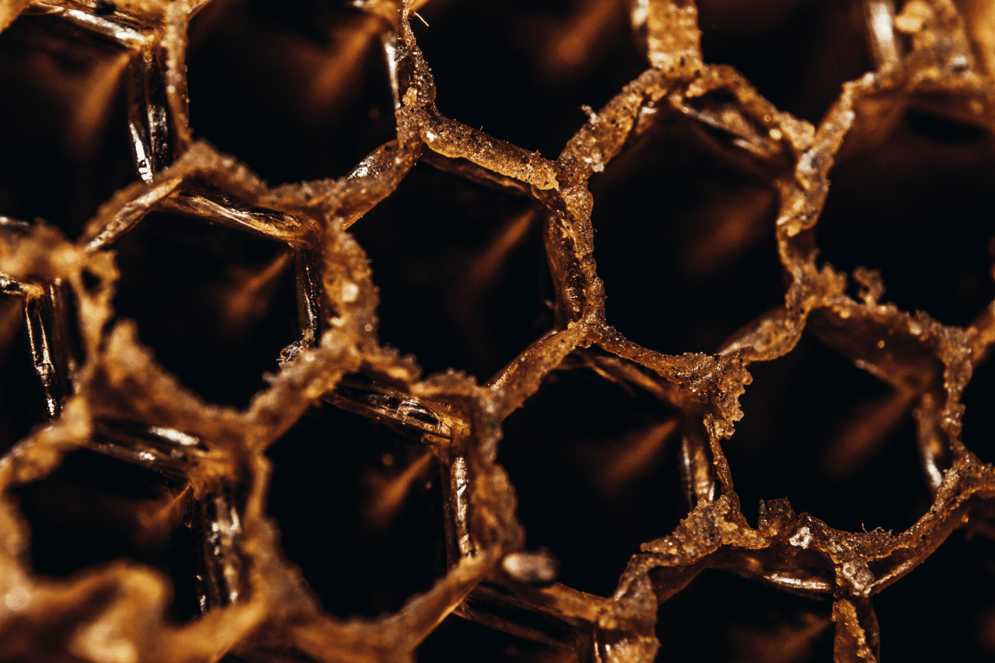 Honeycomb Structure Is Space-Efficient and Strong — Biological Strategy ...