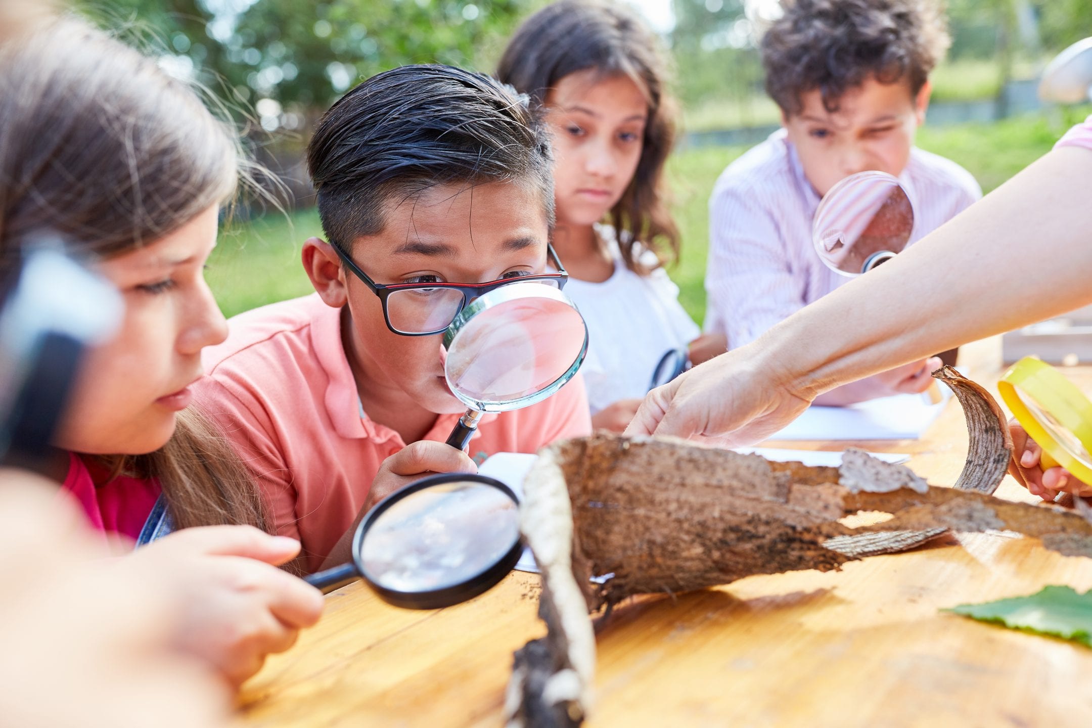 Introducing Biomimicry in Grades 3-5 — Resource — AskNature