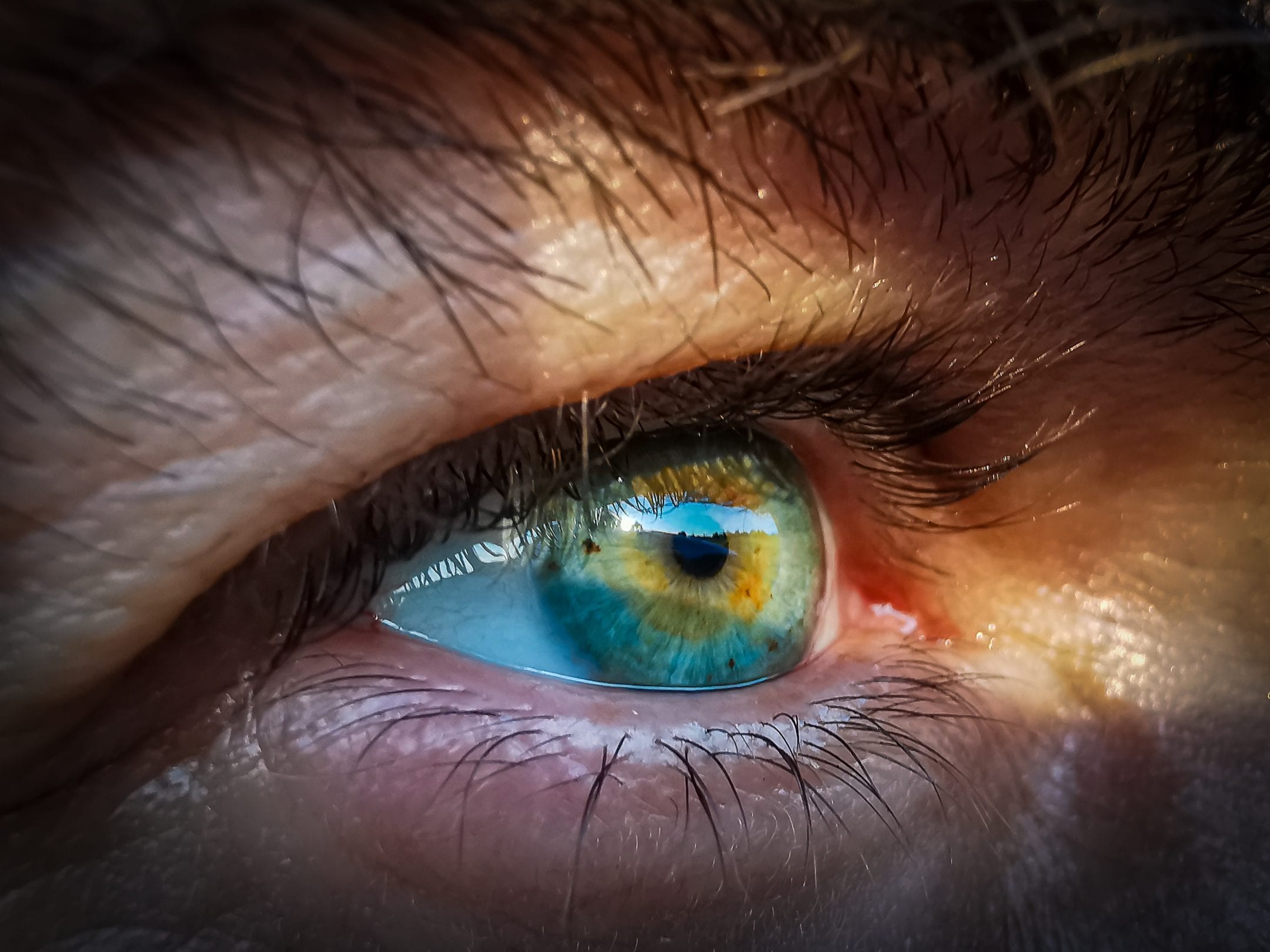 Artificial Eye Inspired by Human Eyes — Innovation — AskNature