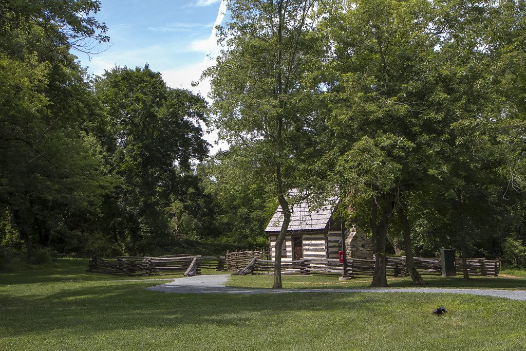 Benjamin Banneker: A Life Told in Cicada Years — Collection — AskNature