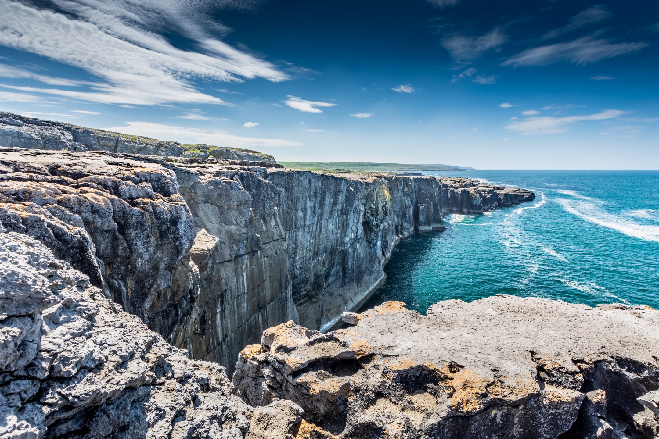 Innovation Inspired by Nature — AskNature