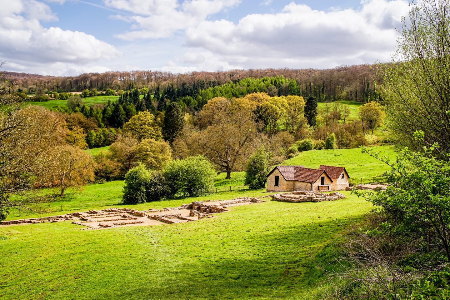 How Life Built Earth As We Know It — Collection — AskNature