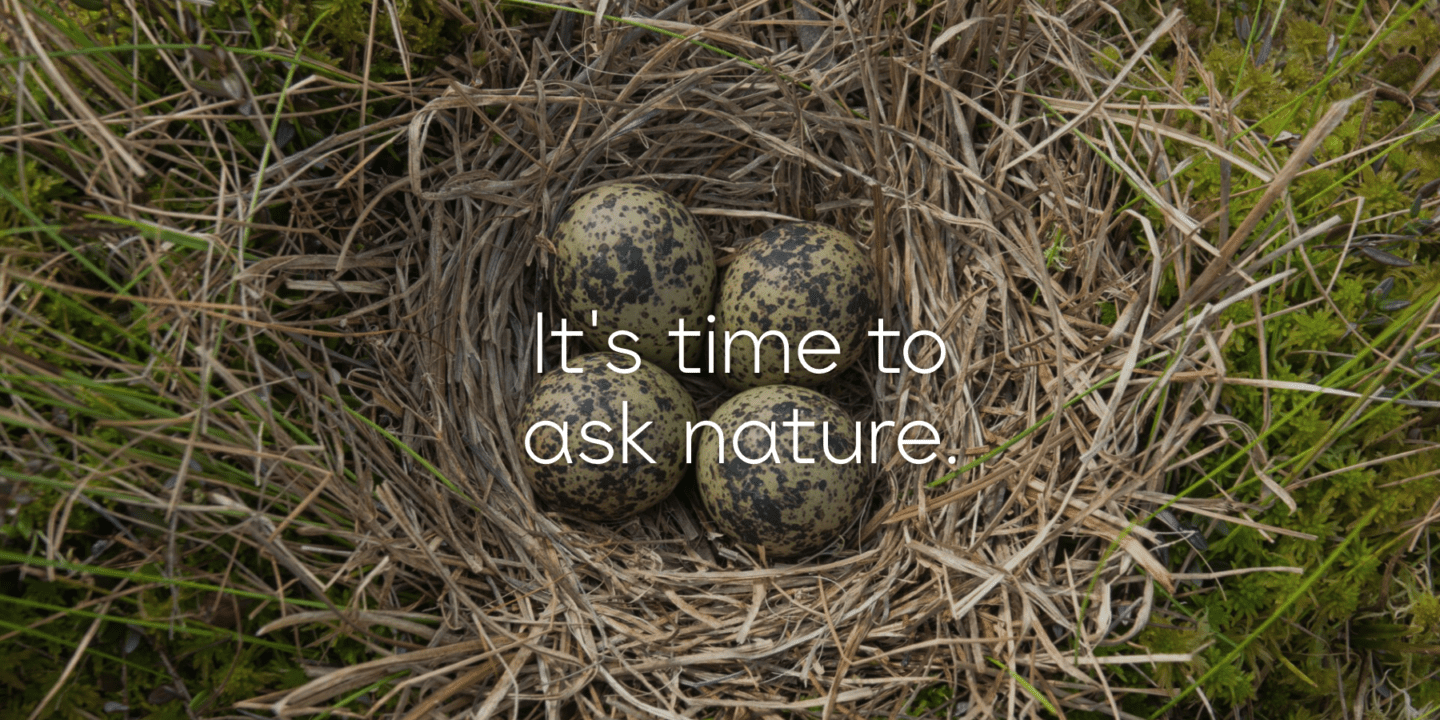 Innovation Inspired by Nature — AskNature