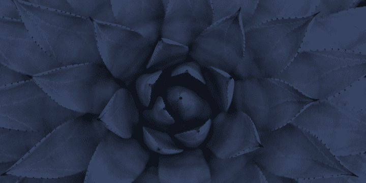 For Educators — AskNature