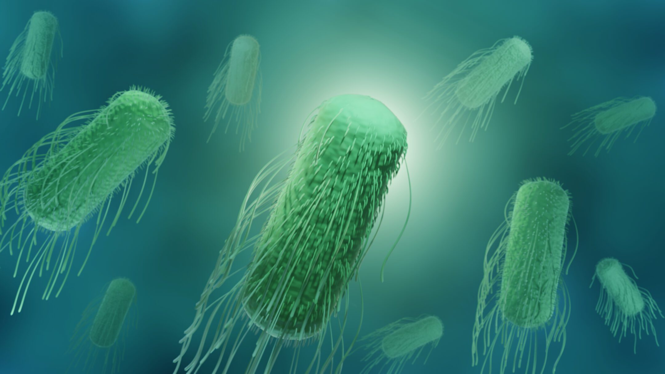 A Molecular Flip Is the Key to a Two-Way Motor for Bacteria ...