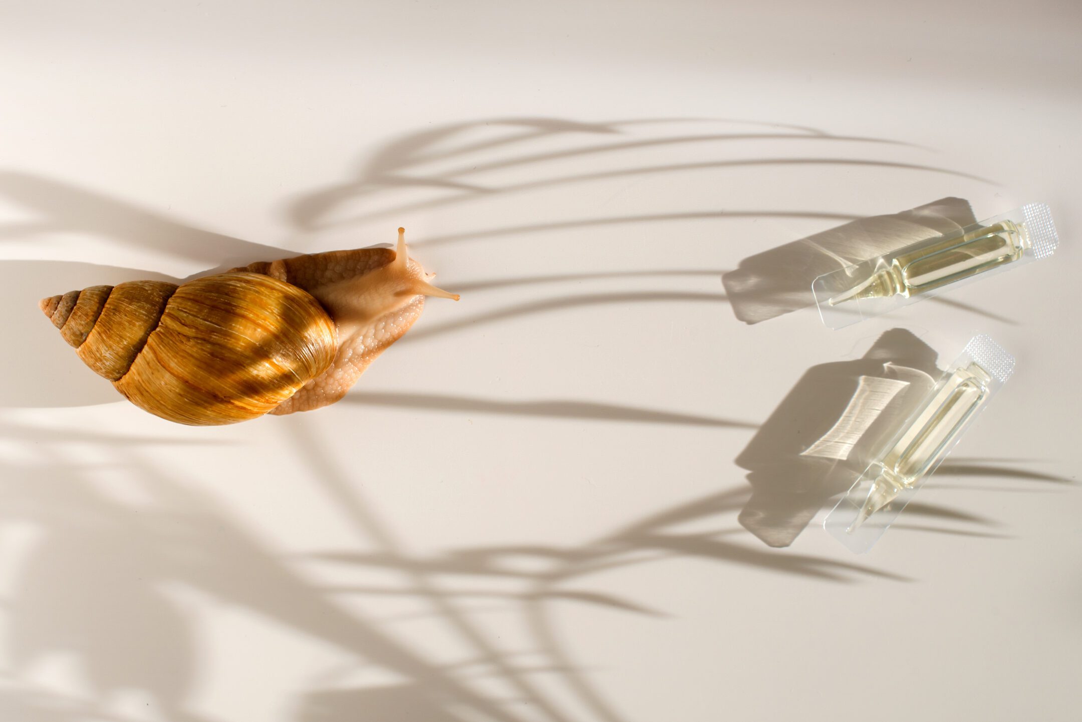 Versatile Synthetic Hydrogels Inspired by Natural Animal Mucus ...