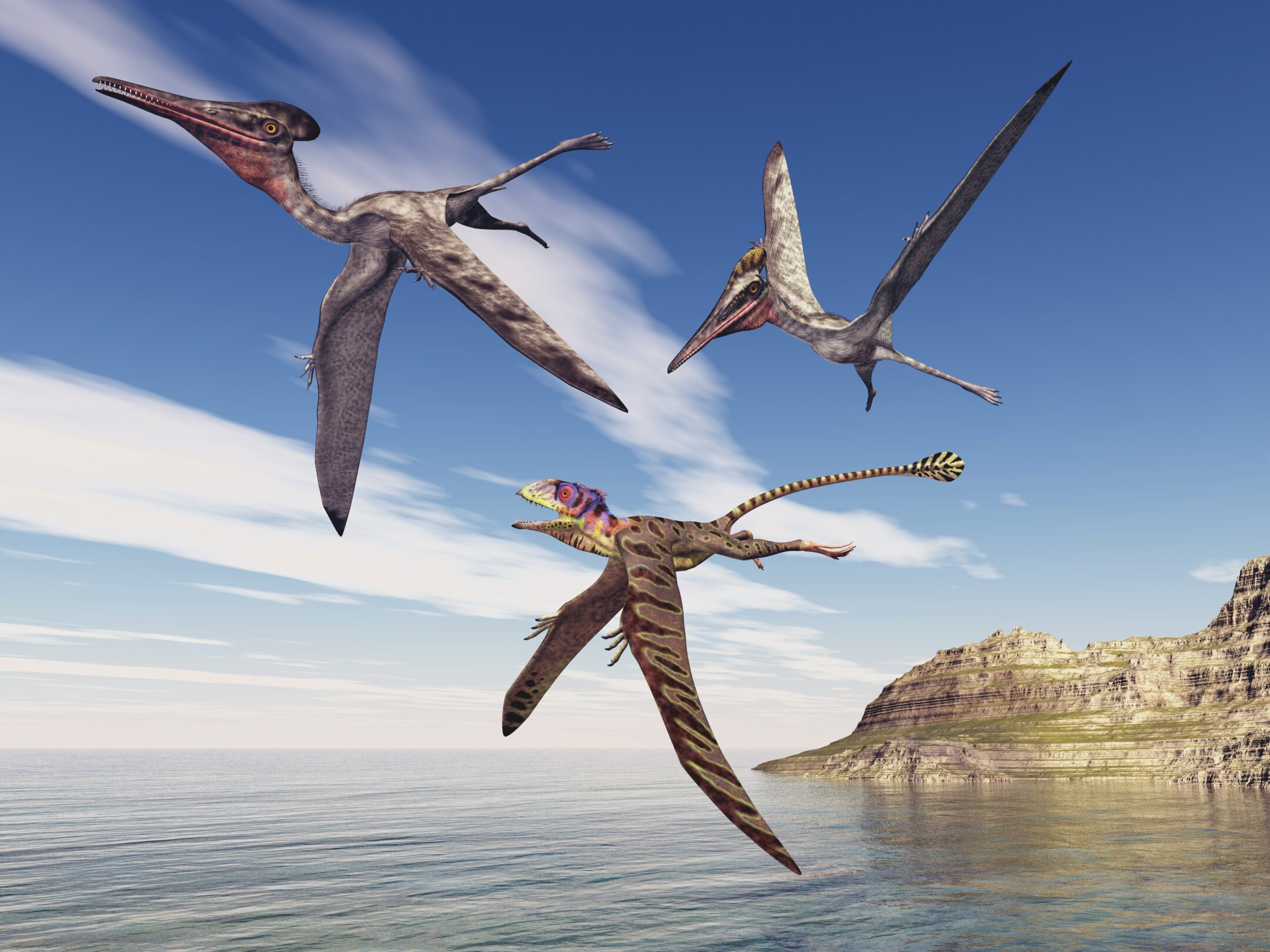 Wing Flexibility Enables Controlled Flight — Biological Strategy ...