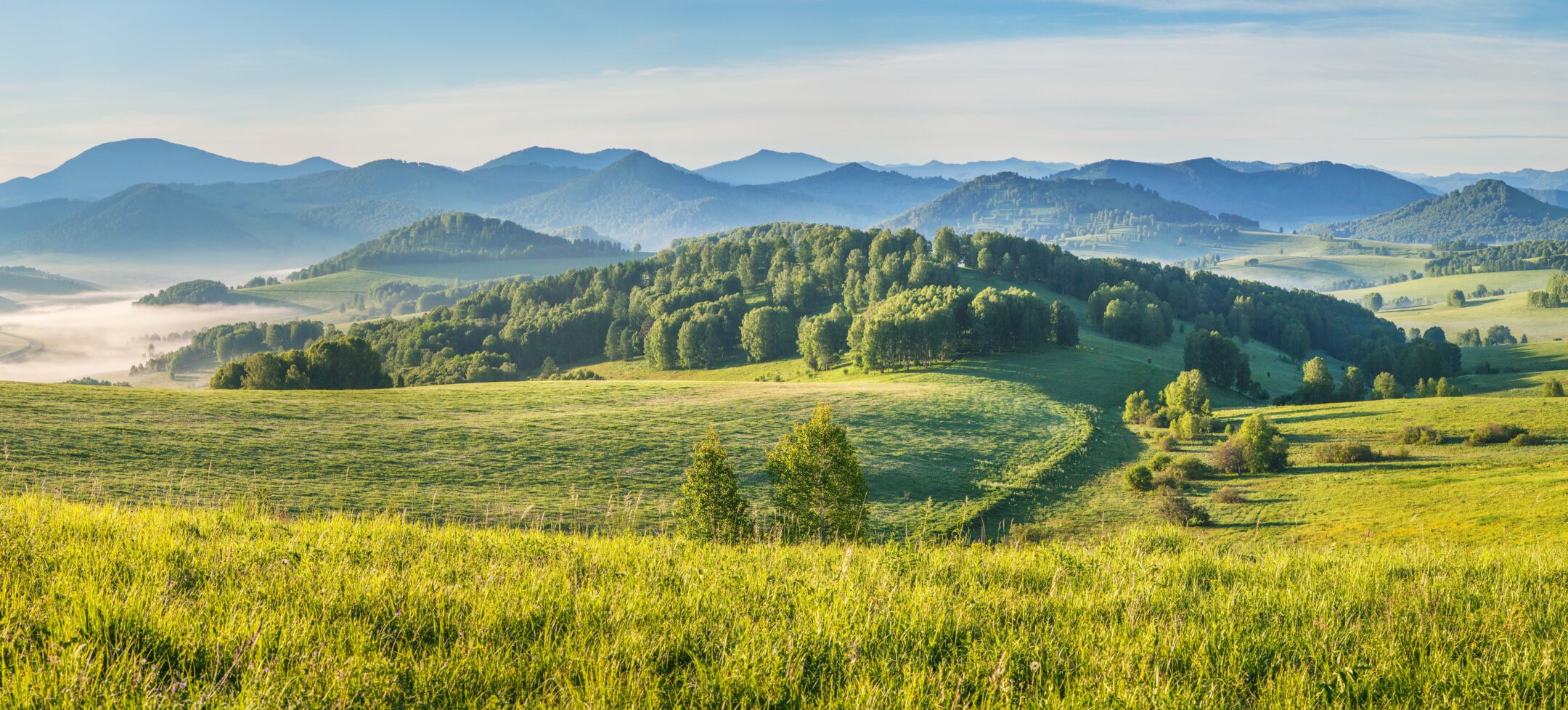 Forest Patches Act as Nuclei for Natural Regeneration — Biological ...
