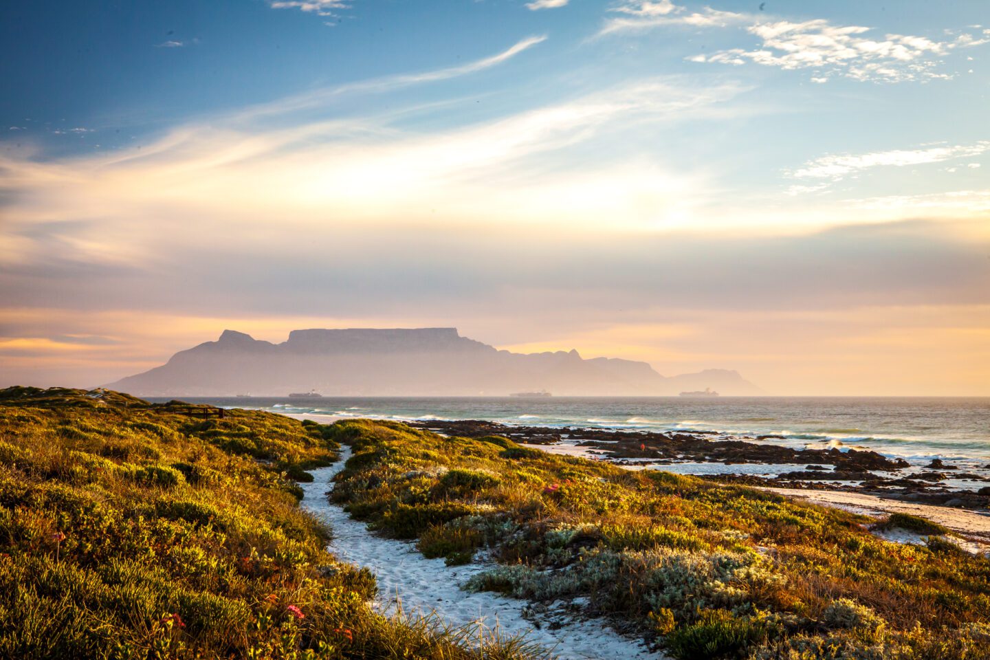 How Life Creates a Land: Wind, Fire, and Fynbos — Collection — AskNature