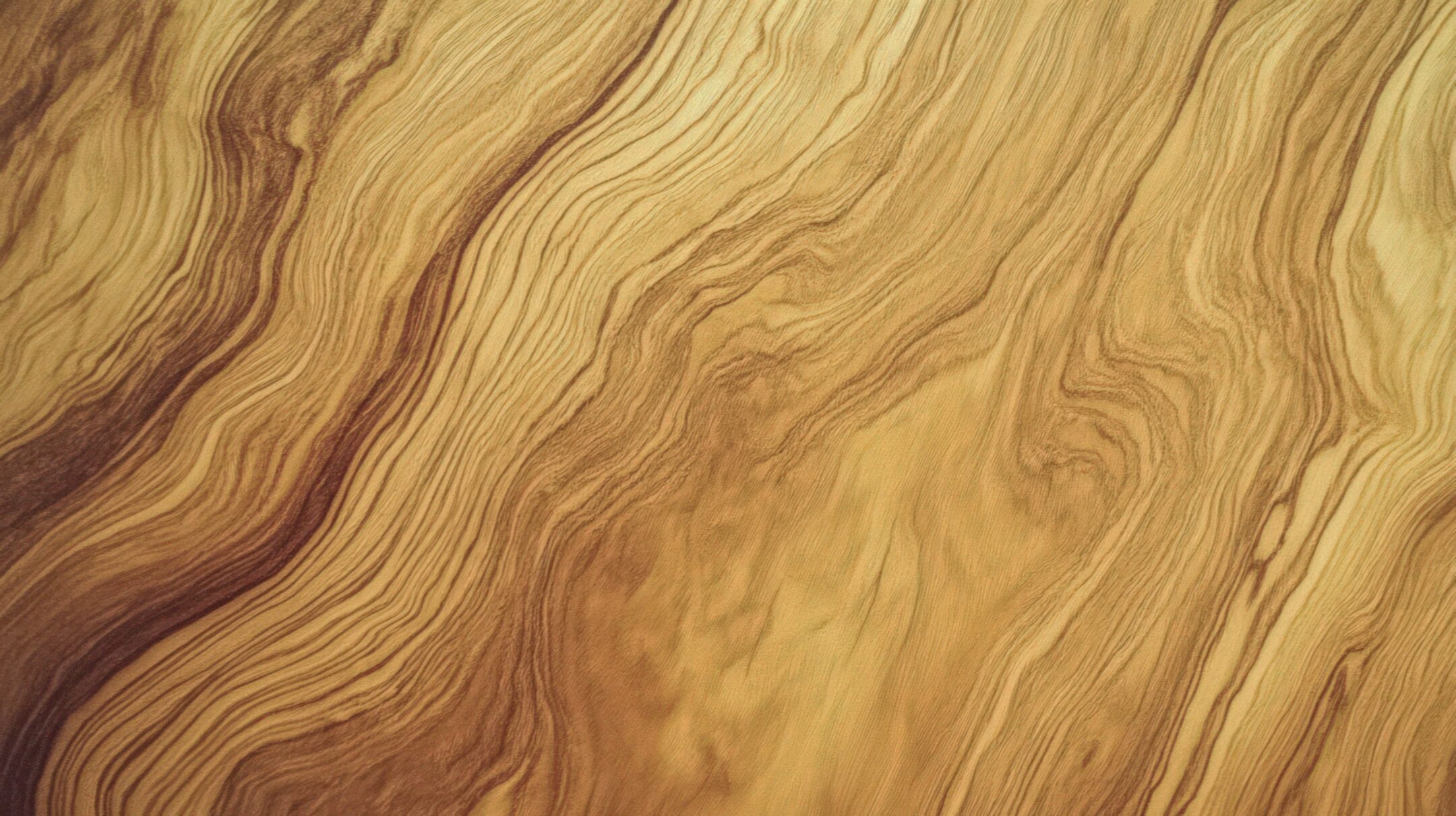 Harnessing Nature’s Signals for Custom-Grown Wood — Innovation — AskNature