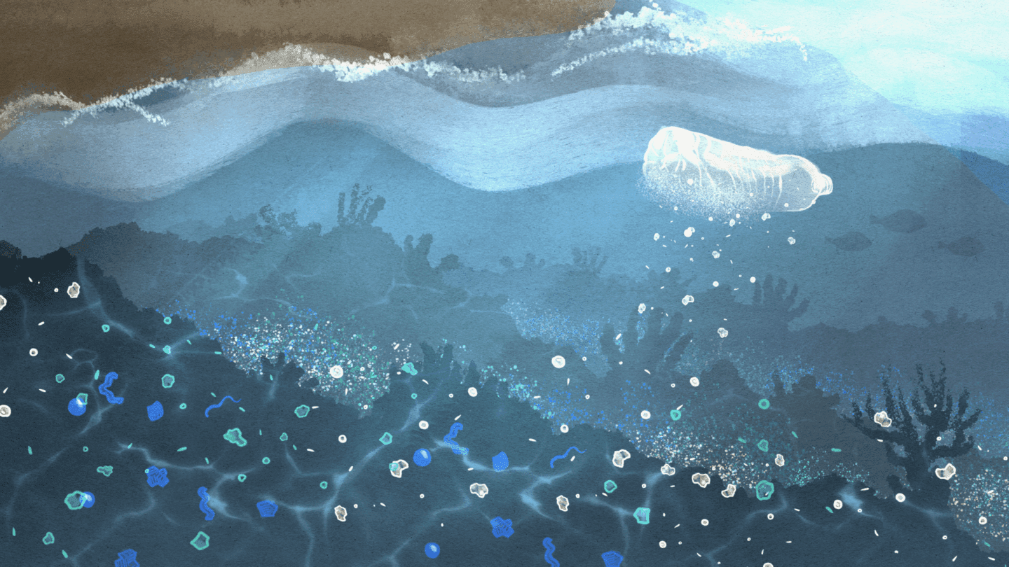 Microplastic Filter Inspired by Aquatic Plant Roots — Innovation ...
