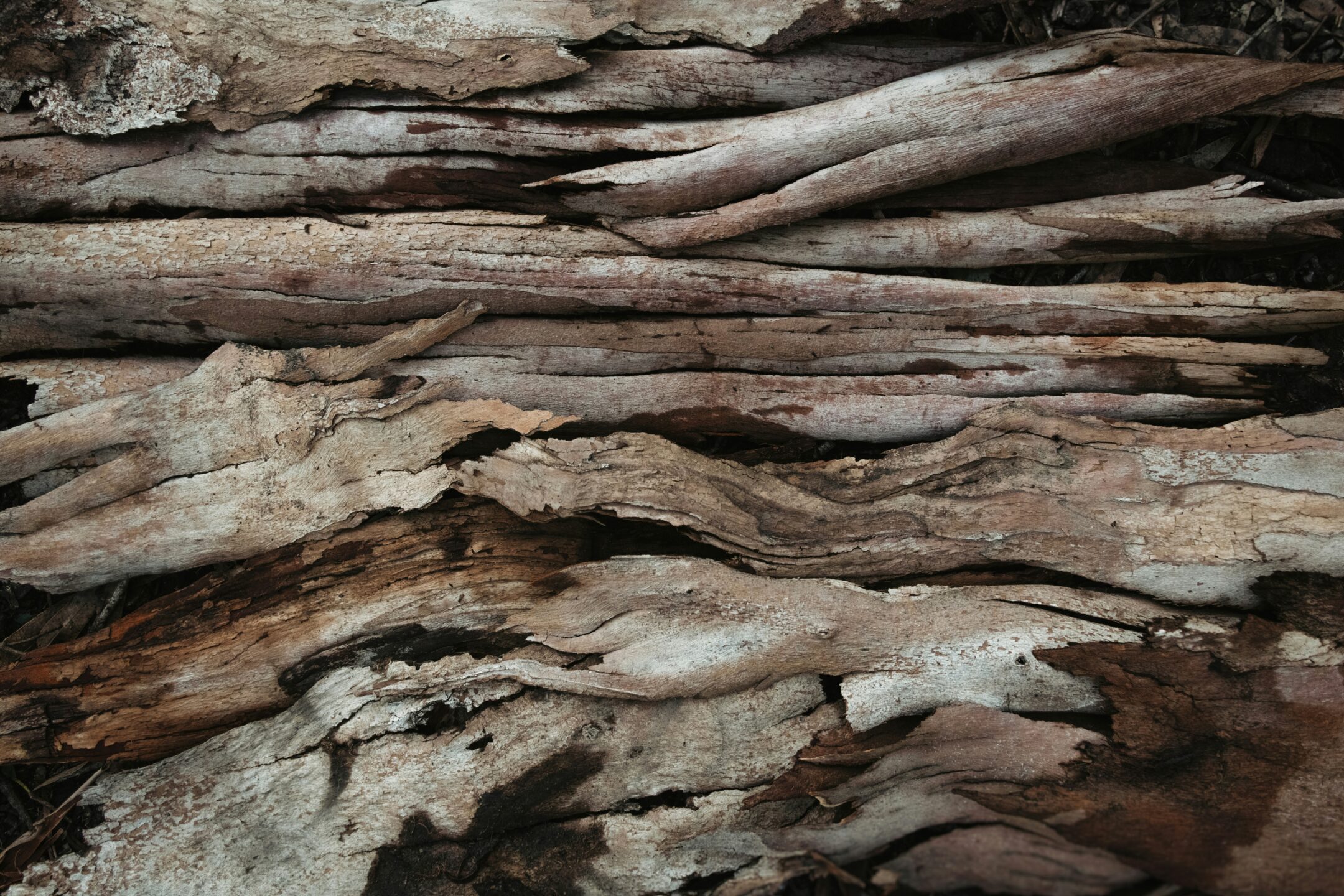 Unweaving the Strength of Wood By Oxidizing Lignin — Biological ...